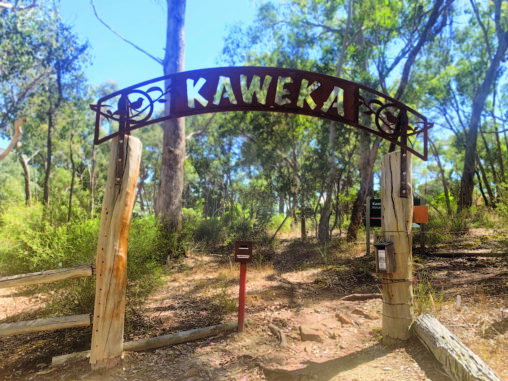 Kaweka – Friends of Kalimna Park